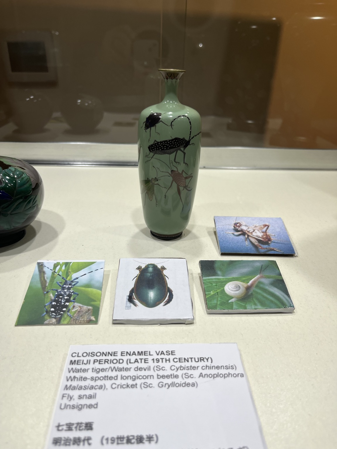 Dr Jessica L Ware Lab (@jessicalwarelab@ecoevo.social) - ecoevo.social