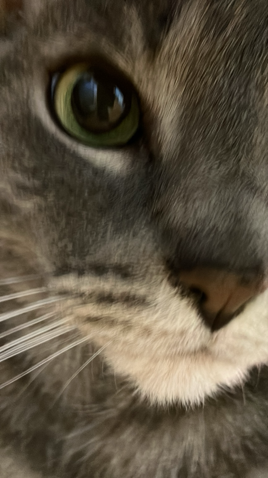 sufia s. khader (@flox@ecoevo.social) - ecoevo.social